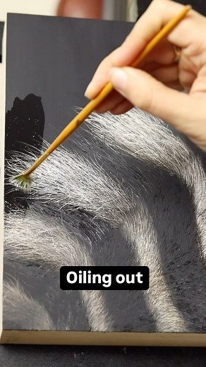 Annie Drew Wildlife Art on Instagram: "Oiling out the dry paint on my Zebra “mini” piece. It’s a 50/50 mix of Galkyd and Gamsol, (though the eagle eyed will notice I used the wrong shot, and I’m actually taking the lid off a bottle of Galkyd lite! Oops 😅) applied liberally over the surface. Left to absorb for a few mins before wiping it away with a dust free cloth (or as near as you can get!). You might have to repeat the process a few times, especially with darker colours, but I find once is e