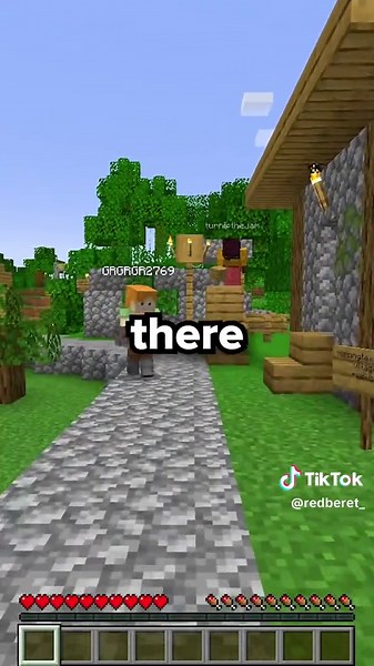 Exploring Minecraft's First Vanilla Server Experience