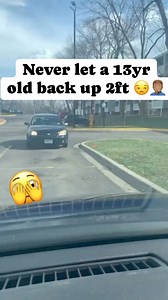 2.2M views · 17K reactions |  the screams #drivinglessons #funnyvideos #thestatelyhound | Tico Royël | Facebook