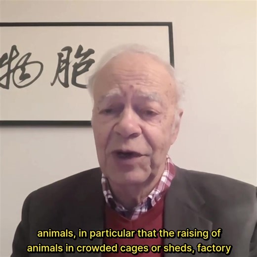 2.4K views · 96 reactions | Factory farming is indefensible. Animals...