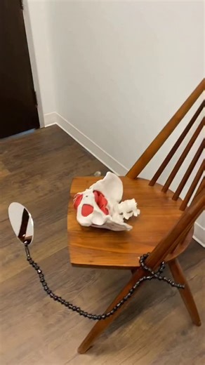 Rachel S. Rubin MD on Instagram: "Hands free vulva mirror for the holiday shopping??? Grace our lead medical assistant is finding new ways to help people. Link to product https://a.co/d/1BNrud7 Amazon Search: Rehabilitation Advantage Self Examining Hands Free Cathing Mirror"