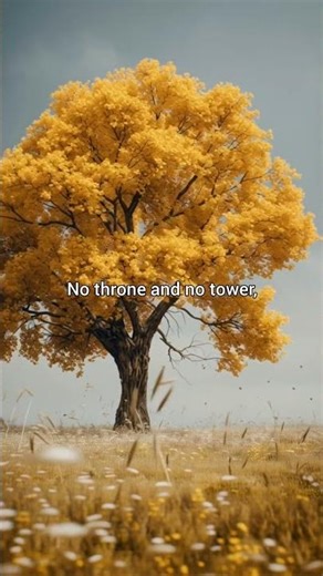 Just roots in the soil