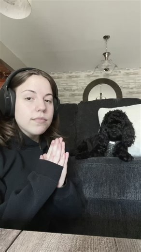 Named my dog after Phoebe! So I had to do this trend💘🐶 #phoebe #friends #claps #cockapoo #fyp #foryoupage #timing #pov #illbethereforyou #storytime