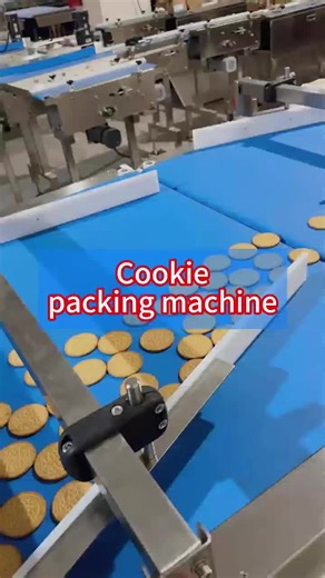 Understanding Cookie Packing Machines: How They Work