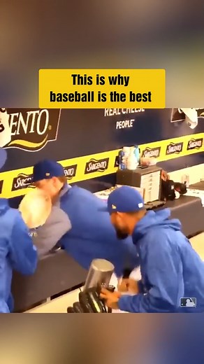 This is why baseball is the best 😂 (via MLB) #baseball #MLB #fblifestyle | MLB Throwbacks