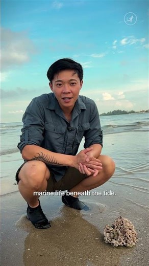 Singapore's magical coastline