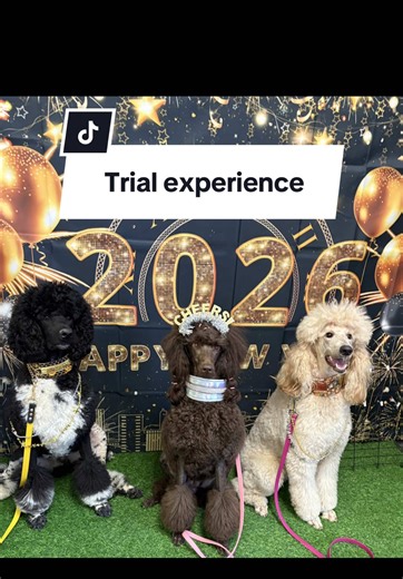 Nessie's Rally Training Experience: Tips and Insights