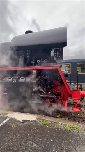Neuenmarkt unter Dampf! 🤩 Die P nfelzüge fahren noch bis 16.48 Uhr! Auf geht’s zum Dampflokfestival und ins Deutsche Dampflokomotiv Museum! | Deutsches Dampflokomotiv Museum