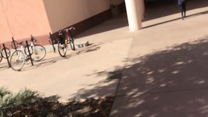 📽️ Take a tour of the Ayala Library & Writing Center