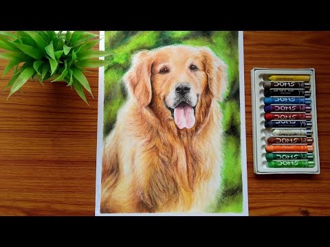 Dog Drawing With Oil Pastel Colours
