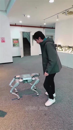 A Unitree quadruped robot demonstrates payload strength and dynamic balance as a full-grown adult stands on its back while it lifts smoothly from a crouched stance. The demo highlights high-torque joint actuation, precise posture control, and stable load-bearing capability in a compact robotic platform. Rate this 1–10. #robotics #quadruped #unitree #payloadtest #engineering