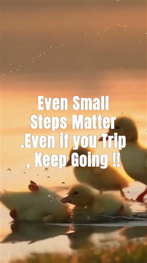 Even Small Steps Matter. Even if you Trip , Keep Moving !!