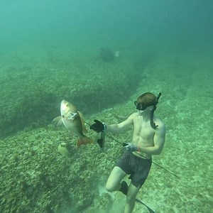 Hawaiian Sling Spearfishing Mutton Snapper! | Ryan Myers