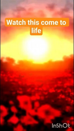 🌺 Procreate Poppy Field Painting (Tutorial by James Julier) - link in comments #paintng