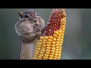 Funniest Relatable Memes