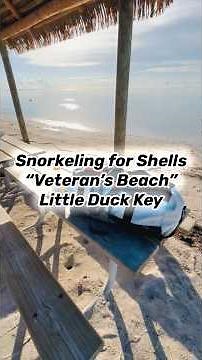 EPIC Tiny SHELLS! Snorkeling for shells at Veteran’s Beach on Little Duck Key, Florida