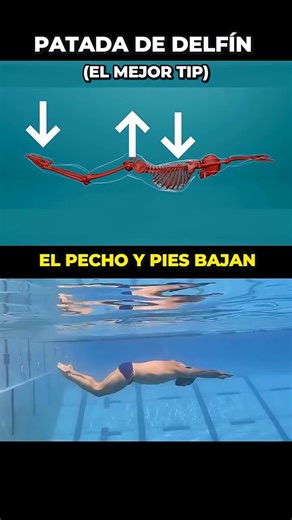 Mejora tu patada de delfín en natación con este tip