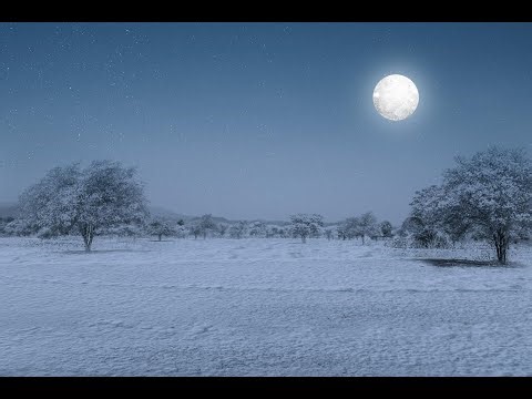 Relaxing Snowfall: Beautiful Falling Snow - The Best Relax Music