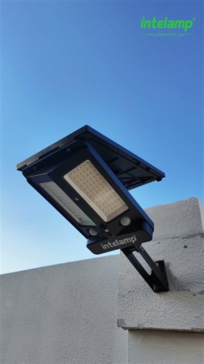 Solar light outdoor with motion sensor, it is easy to install #intelamp #solarlight