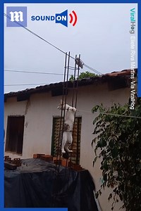 628K views · 2.3K reactions | The real-life Tom and Jerry  | Daily Mail Video | Facebook