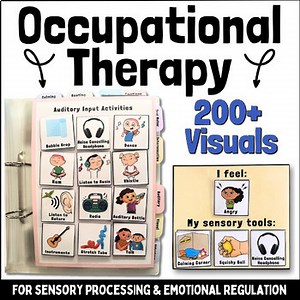Occupational Therapy: Sensory Tools, Activities & Emotions | Folder of Visuals