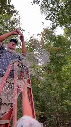 Chicken wire ghost part four! #halloween | Holly Auna