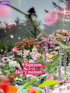 501K views · 12K reactions | ❤️Miss na Kita ❤️ ♥️Norhana Song Cover♥️ With Lyrics #KurapengMusicVideoLyrics | Kurapeng Music Video Lyrics | Facebook