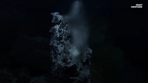 How Earth’s most extreme species defy heat, cold, pressure, and time