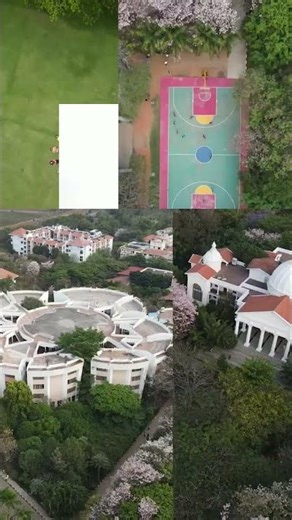 Alliance University Bangalore #2026 #placement #admission #karnataka #andharapradesh #mysorepalace