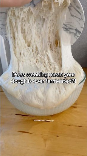 Does webbing indicate your dough is over fermented? #sourdoughforbeginners #sourdoughbread