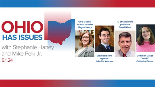 Your Guide To Dark Money from FirstEnergy in Ohio Politics: Ohio Has Issues with Stephanie Haney and Mike Polk Jr.