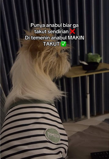 Tengah malam gong gong😭Tolong anak indihome kira kira dia liat apa?? Apakah ada sosok tinggi kiris👻🐶 #fyppppppppppppppppppppppp #masukberanda #horror #dogsofttiktok #videoviral