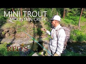 Mini Mountain Trout // 2 Weight Echo River Glass Rod Review