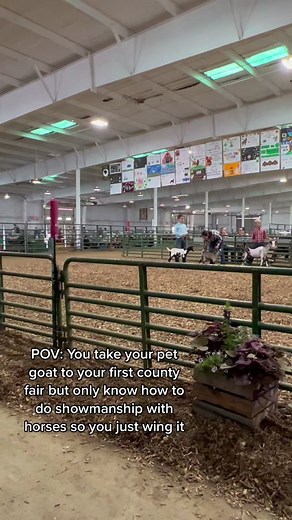 First County Fair 4-H Goat Showmanship Experience