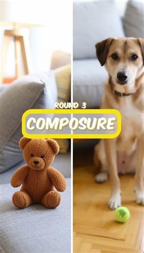 DOG vs TEDDY BEAR 🧸🐶 | Who Has MORE Control? (Stuffed Toy Challenge)