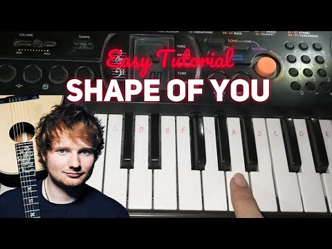 Shape Of You On Casio | Easy Tutorial | Ed Sheeran | OneFingerCasio