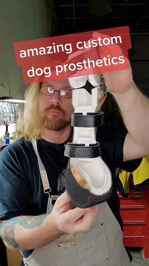 Custom Dog Prosthetics by BionicPets | Amazing Fabrication