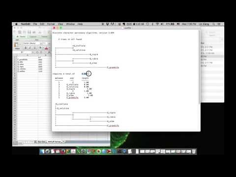 Construct a morphologically-based phylogenetic tree