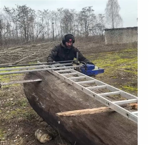 Unearthing Secrets of a 5,000-Year-Old Log