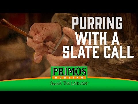 How To Purr On A Slate Call