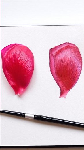 How to Paint Perfect Peony Flower Petal in Watercolor #short