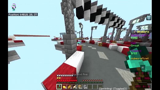 DreamIsBestPVPr69420 on TikTok