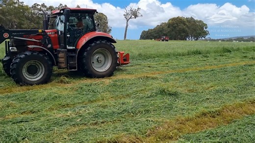 5.2K views · 94 reactions |  It’s silage time at the College! Our...