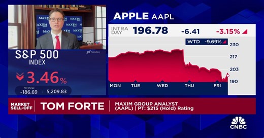 Maxim Group's Tom Forte: 10% move in Apple was an overreaction