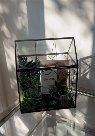 Unboxing Lola Vie's Mini Greenhouse Haircare Package