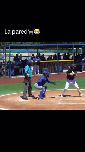 Na patra🐐 #catchers #viralvideo #parati #fyp #baseball #mlb #bluejays