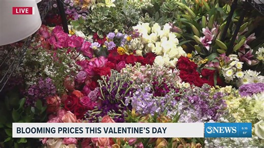 Blooming prices this Valentine's Day