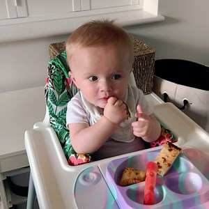 Baby-Led Weaning (BLW) means that your baby chooses what and how much to eat, promoting healthy eating habits from day one of their food journeys. BLW also helps your baby to get used to different foods textures, making these foods less daunting during the typical ‘fussy eating’ phase of toddler life, amongst many other incredible benefits! The Baby-Led Weaning app holds over 300 delicious recipes plus monthly guides and routines that will make weaning a doddle for you and your family. - Quick a