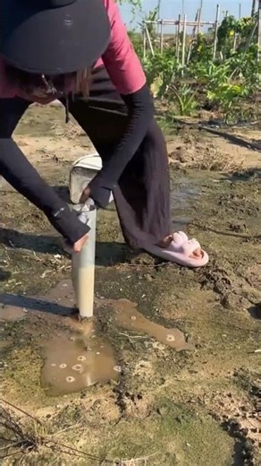 "Satisfying Soil Drilling & Sampling: Smooth ASMR & Innovative Tech!"