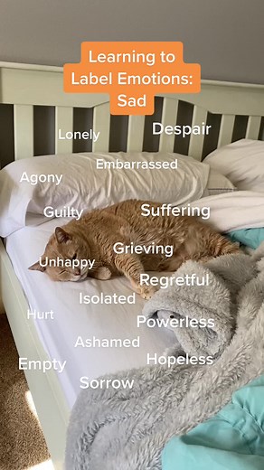 Understanding and Labeling Your Complex Emotions